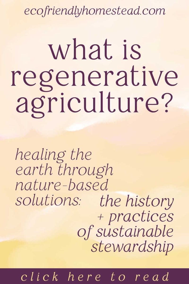 Regenerative Agriculture Explained: The Full Picture and Benefits